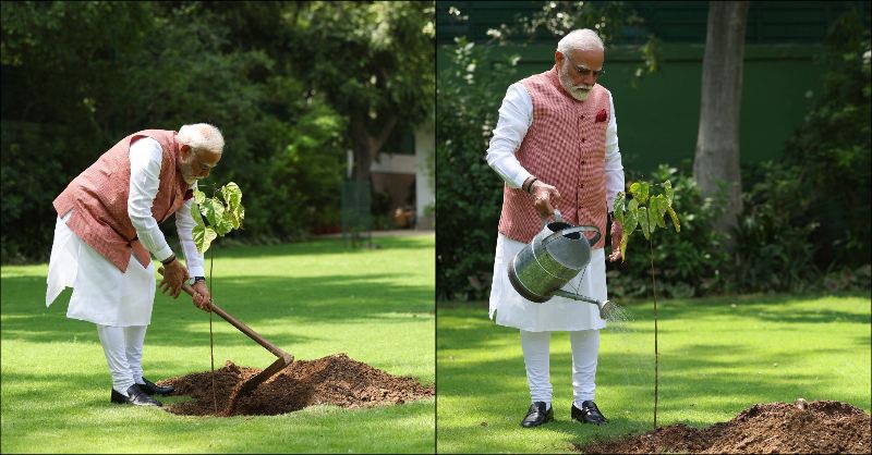 PM મોદીએ વિશ્વ પર્યાવરણ દિન નિમિત્તે તેમના સત્તાવાર નિવાસસ્થાને વાવ્યો ...